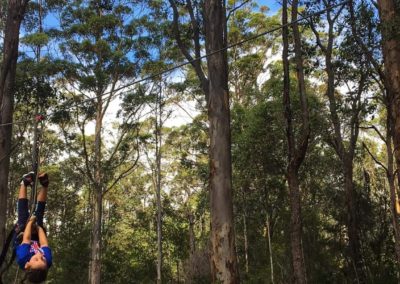 Denmark Thrills Adventure Park